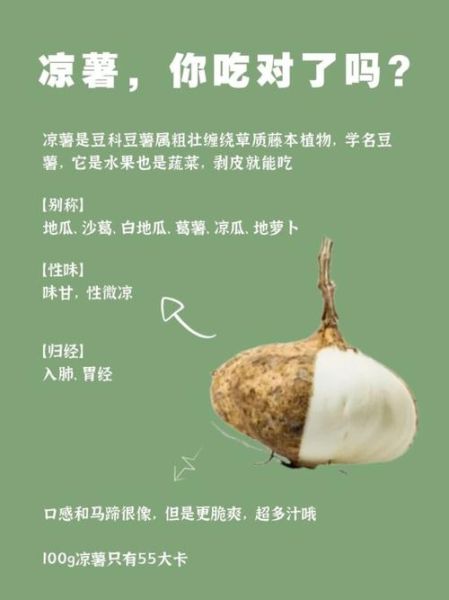 豆薯的功效与作用_豆薯怎么吃最健康-第1张图片-山城妙识 豆薯的功效与作用_豆薯怎么吃最健康-第1张图片-山城妙识