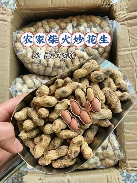 花生市场价多少钱一斤_2024最新行情-第3张图片-山城妙识 花生市场价多少钱一斤_2024最新行情-第3张图片-山城妙识