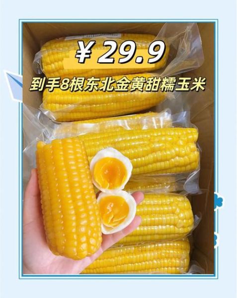 东北玉米最新价格_今日多少钱一斤-第2张图片-山城妙识 东北玉米最新价格_今日多少钱一斤-第2张图片-山城妙识