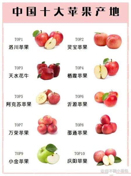 中国十大苹果好吃排名_哪里的苹果最甜最好吃-第2张图片-山城妙识