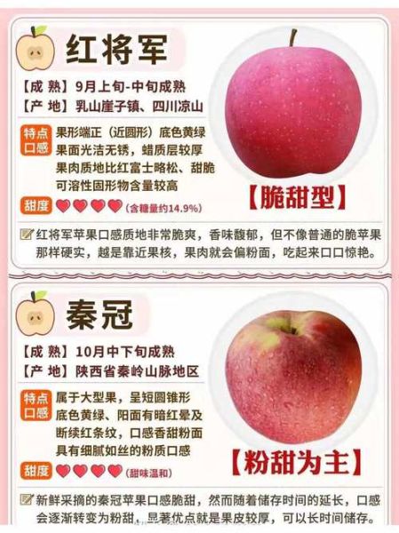 中国十大苹果好吃排名_哪里的苹果最甜最好吃-第3张图片-山城妙识