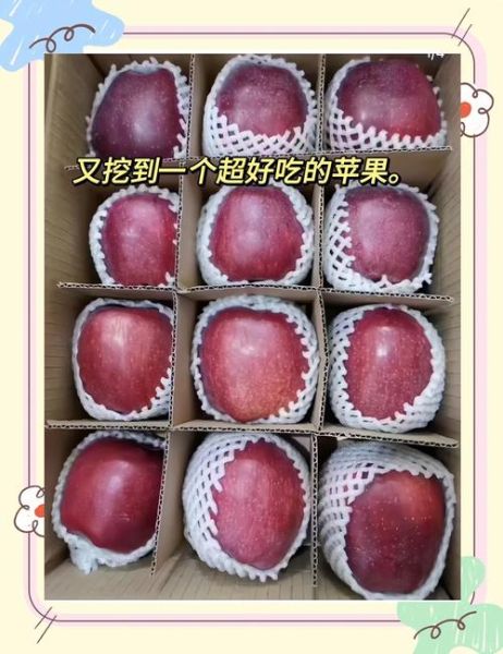 中国十大苹果好吃排名_哪里的苹果最甜最好吃-第1张图片-山城妙识