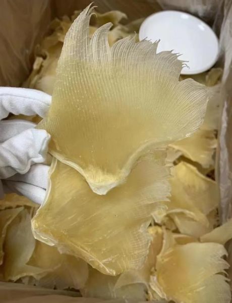 新鲜鱼翅怎么泡发_新鲜鱼翅的家常做法-第1张图片-山城妙识 新鲜鱼翅怎么泡发_新鲜鱼翅的家常做法-第1张图片-山城妙识