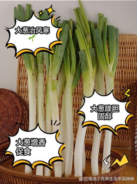 生吃大葱壮阳吗_大葱壮阳是真的吗-第1张图片-山城妙识 生吃大葱壮阳吗_大葱壮阳是真的吗-第1张图片-山城妙识