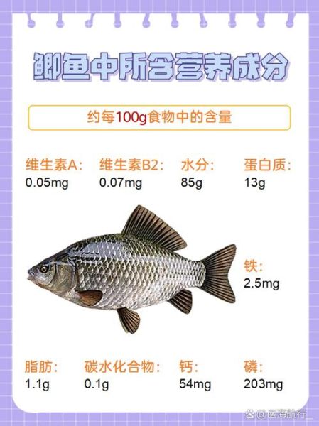 小鲫鱼怎么养才能活_小鲫鱼吃什么长得快-第2张图片-山城妙识 小鲫鱼怎么养才能活_小鲫鱼吃什么长得快-第2张图片-山城妙识