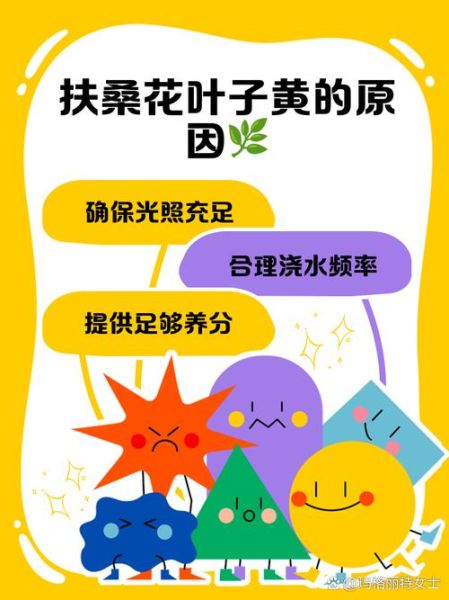 扶桑花怎么养_扶桑花叶子发黄怎么办-第1张图片-山城妙识 扶桑花怎么养_扶桑花叶子发黄怎么办-第1张图片-山城妙识