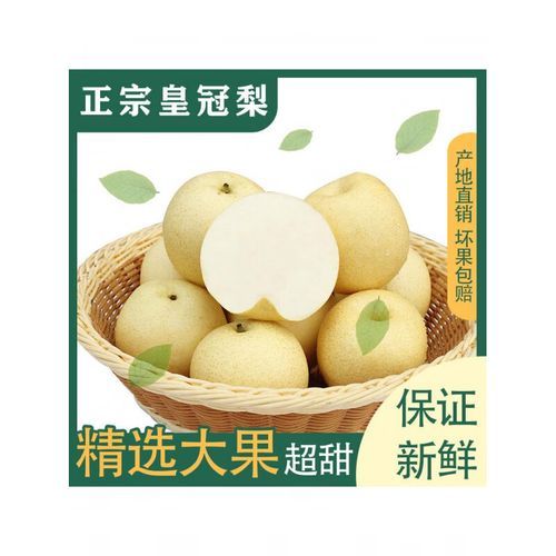 雪梨是皇冠梨吗_区别与选购指南-第2张图片-山城妙识 雪梨是皇冠梨吗_区别与选购指南-第2张图片-山城妙识