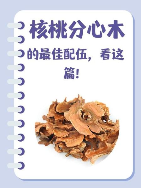 分心木的最佳配伍是什么_分心木和什么搭配最补肾-第1张图片-山城妙识 分心木的最佳配伍是什么_分心木和什么搭配最补肾-第1张图片-山城妙识