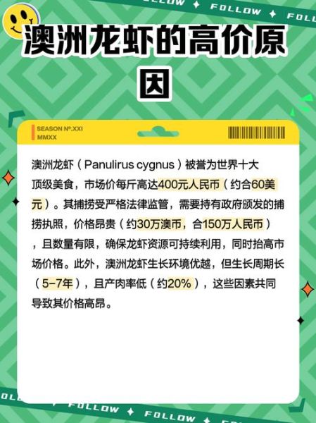 澳洲大龙虾虾苗在哪买正品_澳洲龙虾苗正品购买渠道-第1张图片-山城妙识 澳洲大龙虾虾苗在哪买正品_澳洲龙虾苗正品购买渠道-第1张图片-山城妙识