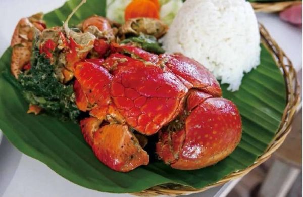 椰子蟹怎么开椰子_椰子蟹开椰子视频全过程-第1张图片-山城妙识 椰子蟹怎么开椰子_椰子蟹开椰子视频全过程-第1张图片-山城妙识