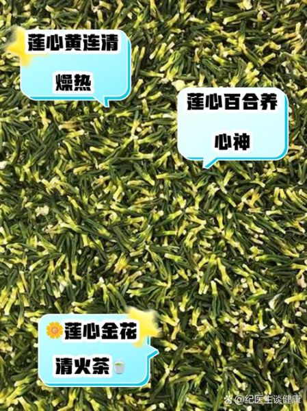 莲子心与什么搭配好_莲子心最佳搭配食材-第3张图片-山城妙识 莲子心与什么搭配好_莲子心最佳搭配食材-第3张图片-山城妙识