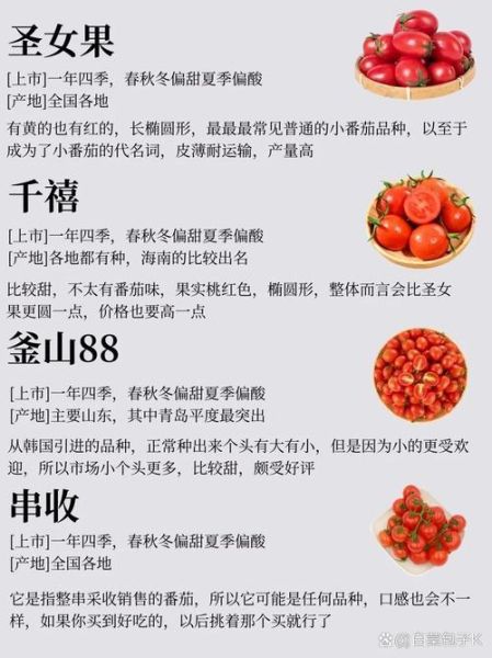 圣女果是转基因的吗_圣女果和千禧果区别-第2张图片-山城妙识 圣女果是转基因的吗_圣女果和千禧果区别-第2张图片-山城妙识