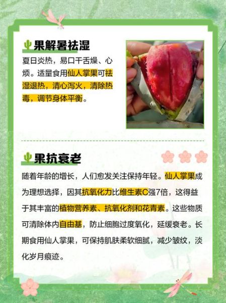 仙人掌果的籽能吃吗_仙人掌果籽怎么吃-第1张图片-山城妙识 仙人掌果的籽能吃吗_仙人掌果籽怎么吃-第1张图片-山城妙识