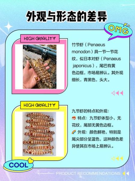 竹节虾是海虾还是河虾_竹节虾产地在哪里-第1张图片-山城妙识 竹节虾是海虾还是河虾_竹节虾产地在哪里-第1张图片-山城妙识