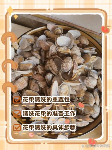 花甲怎么洗才干净_花甲清洗技巧-第1张图片-山城妙识 花甲怎么洗才干净_花甲清洗技巧-第1张图片-山城妙识