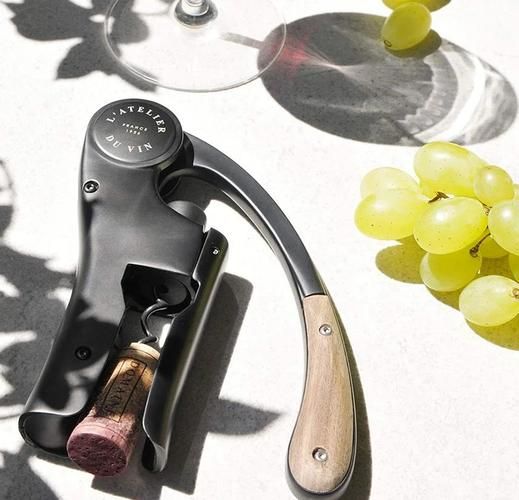 红酒开瓶器怎么用_红酒开瓶器哪种好-第3张图片-山城妙识