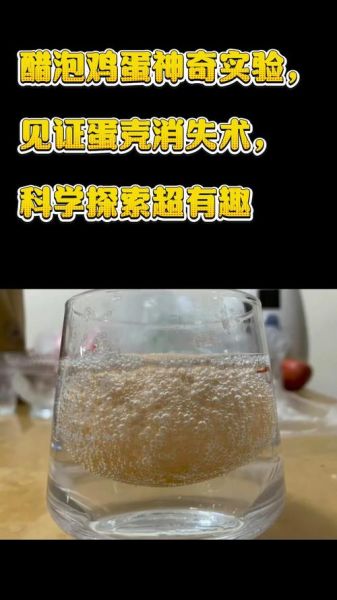 醋泡鸡蛋观察日记_鸡蛋变透明要几天-第3张图片-山城妙识 醋泡鸡蛋观察日记_鸡蛋变透明要几天-第3张图片-山城妙识