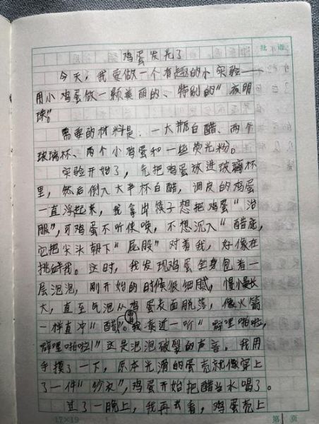 醋泡鸡蛋观察日记_鸡蛋变透明要几天-第2张图片-山城妙识 醋泡鸡蛋观察日记_鸡蛋变透明要几天-第2张图片-山城妙识