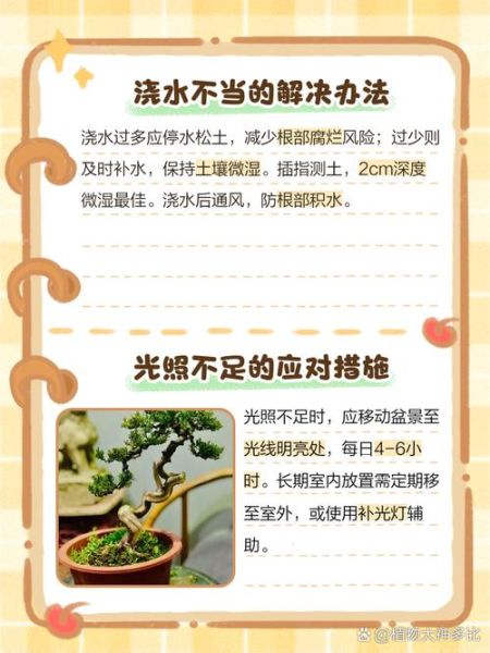 芭蕉叶怎么养_芭蕉叶发黄怎么办-第3张图片-山城妙识 芭蕉叶怎么养_芭蕉叶发黄怎么办-第3张图片-山城妙识