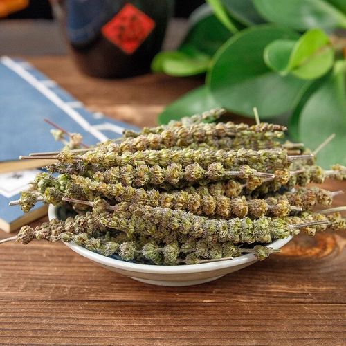 荆芥穗图片大全_荆芥穗长什么样-第2张图片-山城妙识 荆芥穗图片大全_荆芥穗长什么样-第2张图片-山城妙识