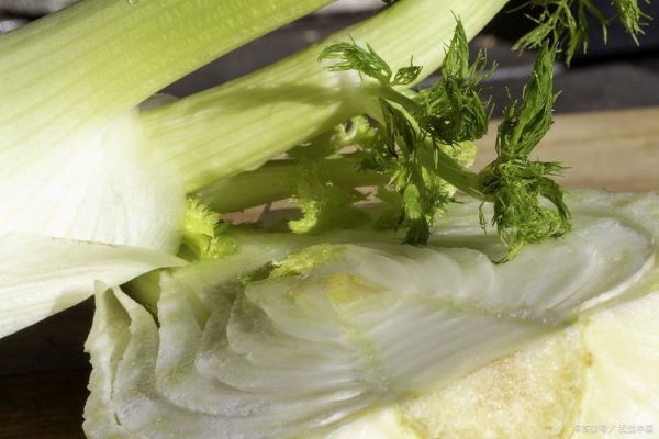 凉拌茴子白需要焯水吗_茴子白焯水多久-第3张图片-山城妙识 凉拌茴子白需要焯水吗_茴子白焯水多久-第3张图片-山城妙识