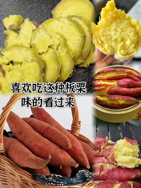 地栗怎么吃最好_地栗的功效与作用-第2张图片-山城妙识 地栗怎么吃最好_地栗的功效与作用-第2张图片-山城妙识