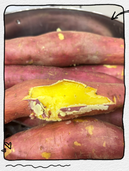 地栗怎么吃最好_地栗的功效与作用-第3张图片-山城妙识 地栗怎么吃最好_地栗的功效与作用-第3张图片-山城妙识