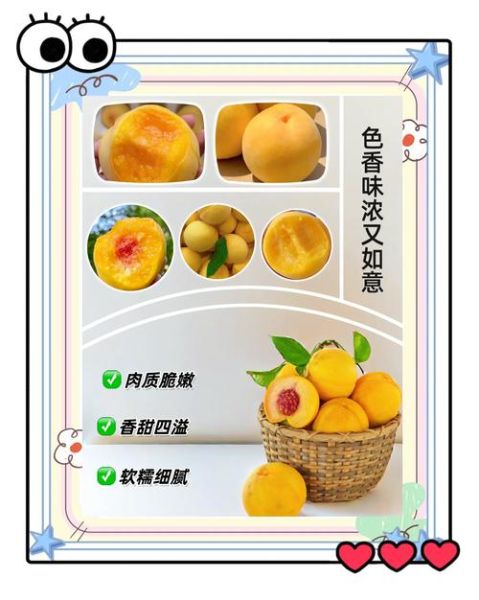 最好吃的黄桃品种排名_黄桃哪个品种最甜-第1张图片-山城妙识 最好吃的黄桃品种排名_黄桃哪个品种最甜-第1张图片-山城妙识