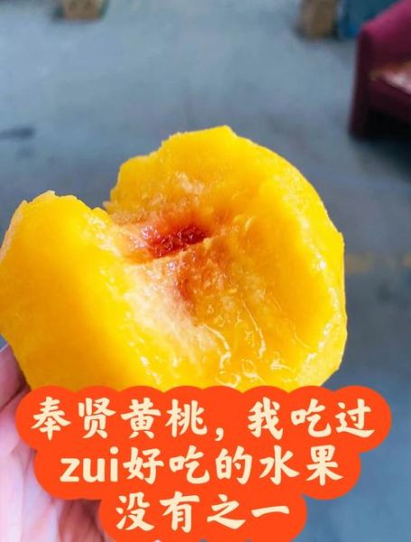 最好吃的黄桃品种排名_黄桃哪个品种最甜-第2张图片-山城妙识 最好吃的黄桃品种排名_黄桃哪个品种最甜-第2张图片-山城妙识