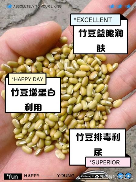 竹豆的功效与作用_竹豆怎么吃最养人-第1张图片-山城妙识 竹豆的功效与作用_竹豆怎么吃最养人-第1张图片-山城妙识