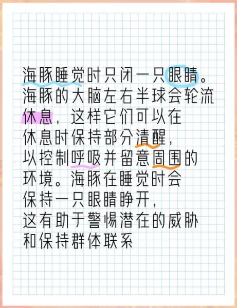 海豚怎么睡觉_海豚睡觉会淹死吗-第1张图片-山城妙识 海豚怎么睡觉_海豚睡觉会淹死吗-第1张图片-山城妙识