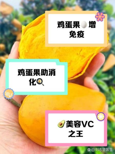 鸡蛋果子怎么做_鸡蛋果子的营养价值-第2张图片-山城妙识 鸡蛋果子怎么做_鸡蛋果子的营养价值-第2张图片-山城妙识