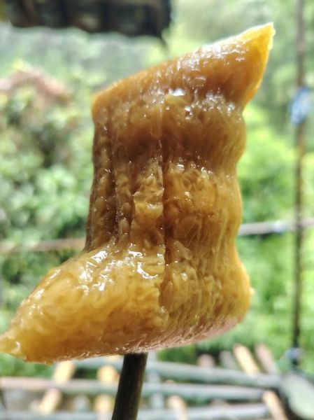 灰水粽子危害有哪些_吃了会中毒吗-第2张图片-山城妙识 灰水粽子危害有哪些_吃了会中毒吗-第2张图片-山城妙识