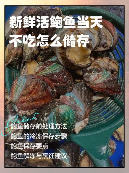 鲍鱼怎么保存_新鲜鲍鱼能放多久-第1张图片-山城妙识 鲍鱼怎么保存_新鲜鲍鱼能放多久-第1张图片-山城妙识