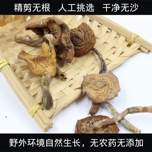 榛菇怎么泡发_榛菇和香菇哪个更营养-第3张图片-山城妙识 榛菇怎么泡发_榛菇和香菇哪个更营养-第3张图片-山城妙识