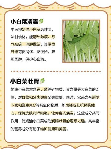 奶油小白菜的营养价值_奶油小白菜的功效与作用-第1张图片-山城妙识 奶油小白菜的营养价值_奶油小白菜的功效与作用-第1张图片-山城妙识
