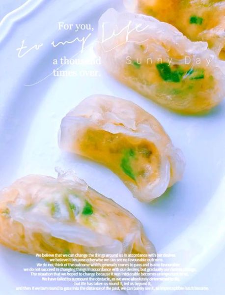 水晶饺子皮怎么做_水晶饺子皮为什么一蒸就裂-第1张图片-山城妙识 水晶饺子皮怎么做_水晶饺子皮为什么一蒸就裂-第1张图片-山城妙识