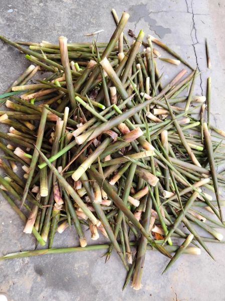 小竹笋干怎么泡发_家常小竹笋干做法大全-第3张图片-山城妙识 小竹笋干怎么泡发_家常小竹笋干做法大全-第3张图片-山城妙识