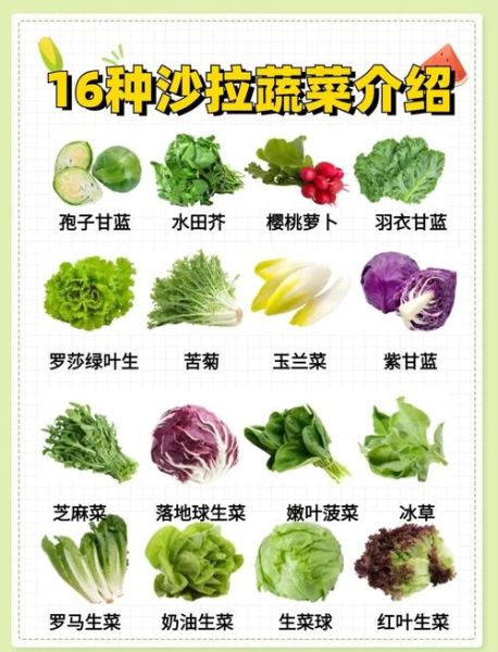 蔬菜色拉用什么蔬菜_蔬菜色拉常用蔬菜清单-第2张图片-山城妙识