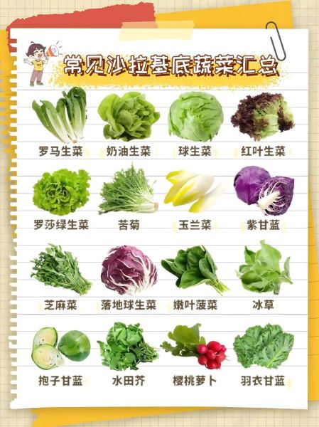 蔬菜色拉用什么蔬菜_蔬菜色拉常用蔬菜清单-第3张图片-山城妙识