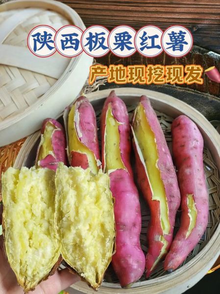 板栗薯怎么做好吃_板栗薯和普通红薯区别-第2张图片-山城妙识 板栗薯怎么做好吃_板栗薯和普通红薯区别-第2张图片-山城妙识