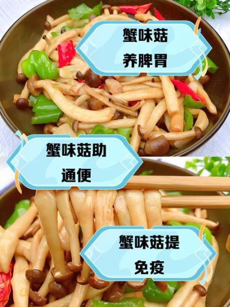 海鲜菇不能和什么一起吃_海鲜菇搭配禁忌-第2张图片-山城妙识 海鲜菇不能和什么一起吃_海鲜菇搭配禁忌-第2张图片-山城妙识