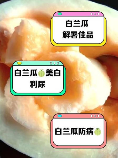 白兰瓜的功效与作用_白兰瓜怎么吃最营养-第1张图片-山城妙识 白兰瓜的功效与作用_白兰瓜怎么吃最营养-第1张图片-山城妙识