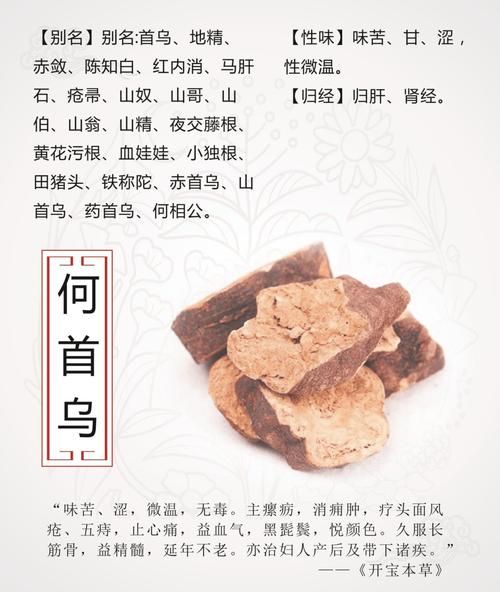 制首乌的功效与作用_如何正确服用制首乌-第3张图片-山城妙识