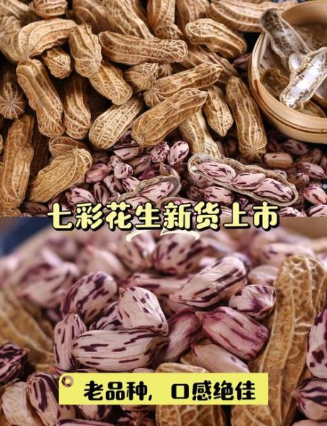 七彩花生是什么_七彩花生和普通花生区别-第1张图片-山城妙识 七彩花生是什么_七彩花生和普通花生区别-第1张图片-山城妙识