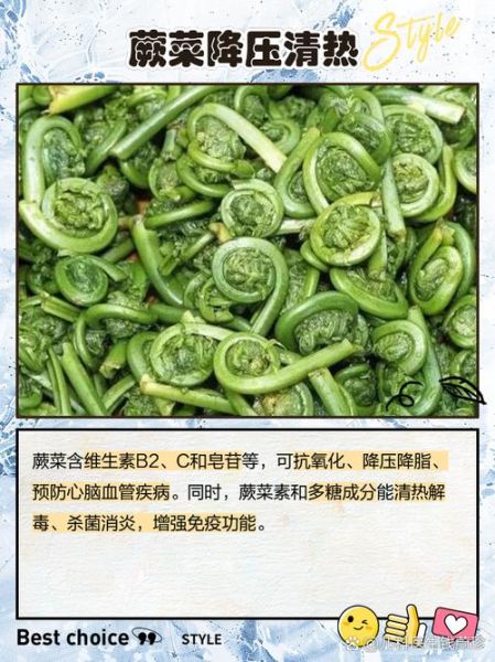 吃蕨菜有什么好处_蕨菜营养价值高吗-第1张图片-山城妙识
