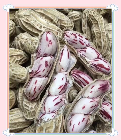 七彩花生是什么_七彩花生和普通花生区别-第2张图片-山城妙识 七彩花生是什么_七彩花生和普通花生区别-第2张图片-山城妙识