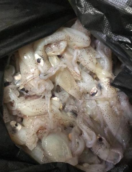 酱爆海兔子怎么做_酱爆海兔子家常做法-第1张图片-山城妙识