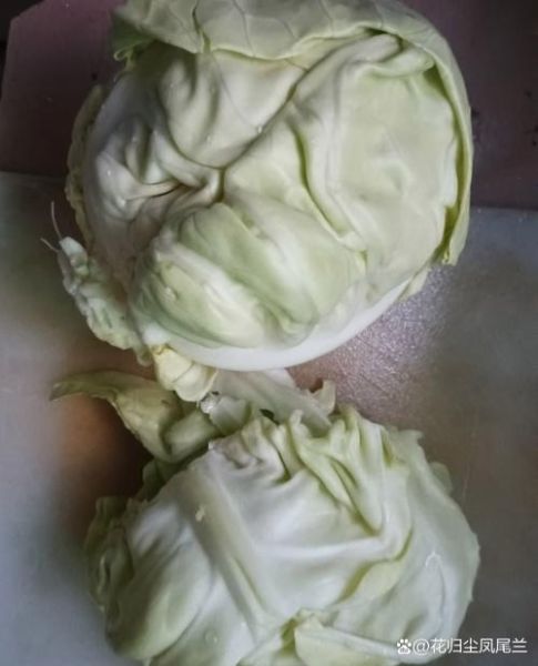 手撕包菜磁力搜索器怎么用_手撕包菜磁力搜索器安全吗-第3张图片-山城妙识