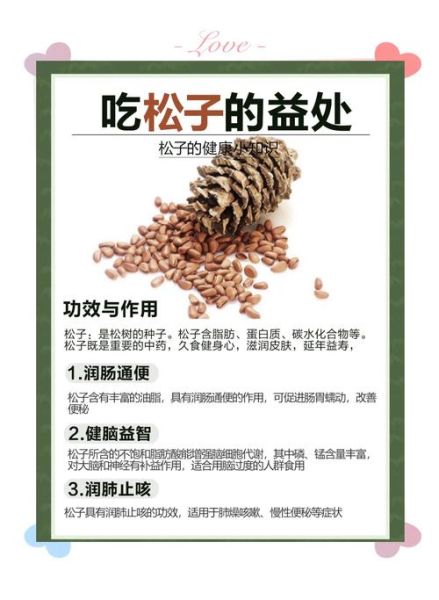 松子有什么营养价值_松子一天吃多少粒合适-第1张图片-山城妙识 松子有什么营养价值_松子一天吃多少粒合适-第1张图片-山城妙识
